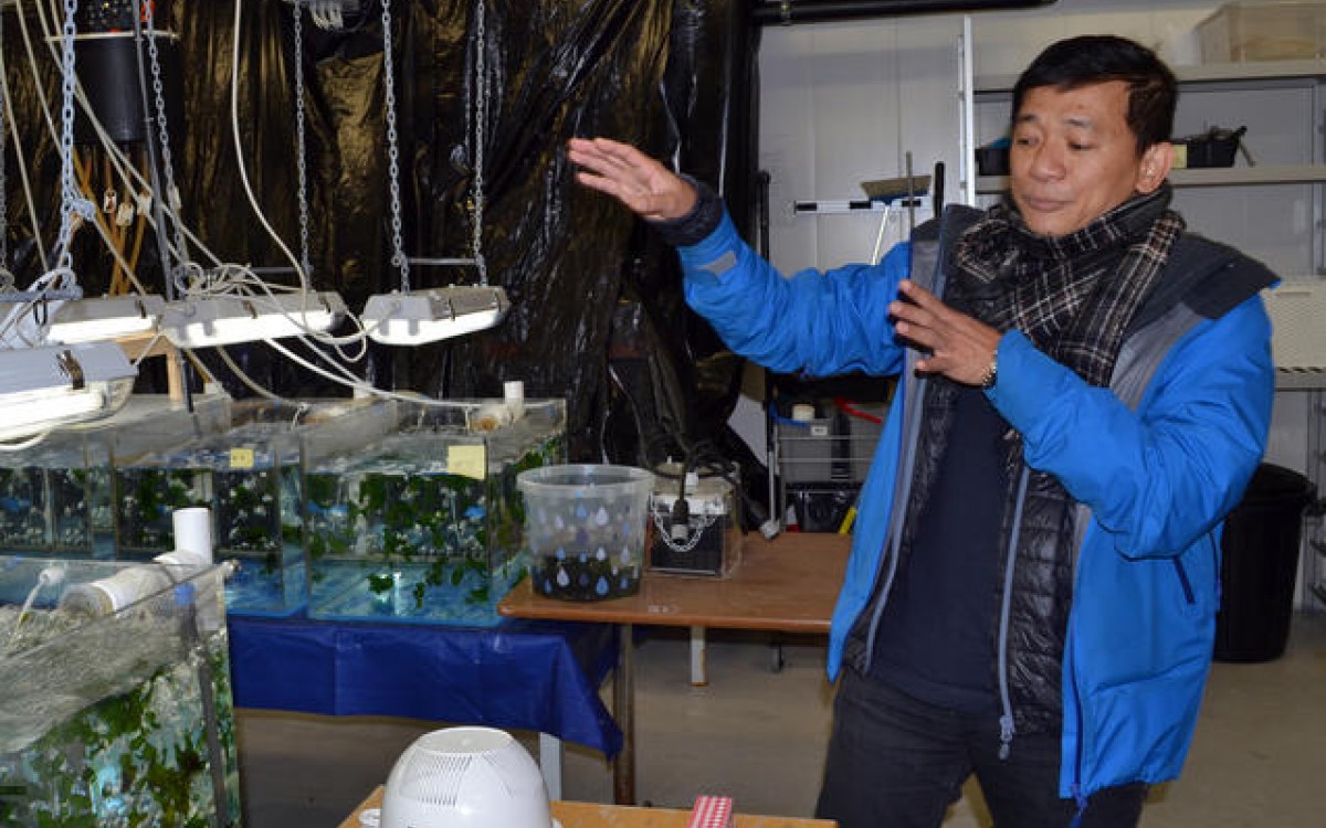 Ei framtid med alger | Nordlandsforsking