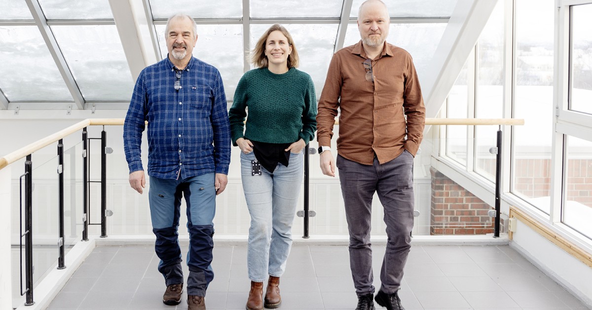 Samlet troppene til søknadssjau | Nordlandsforsking